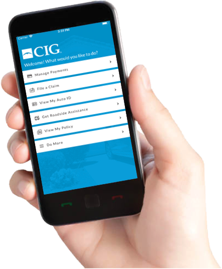 CIG Main - Capital Insurance Group