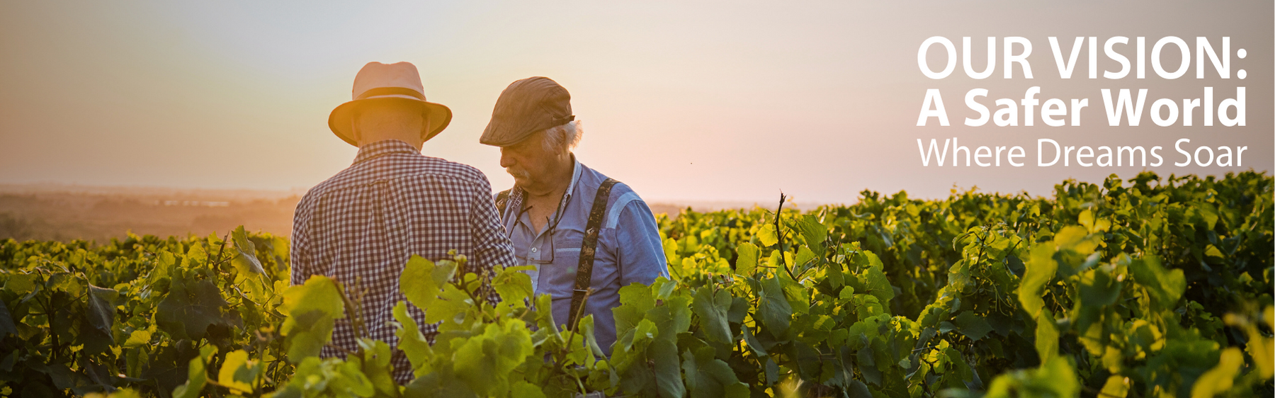 CIG Main - Capital Insurance Group