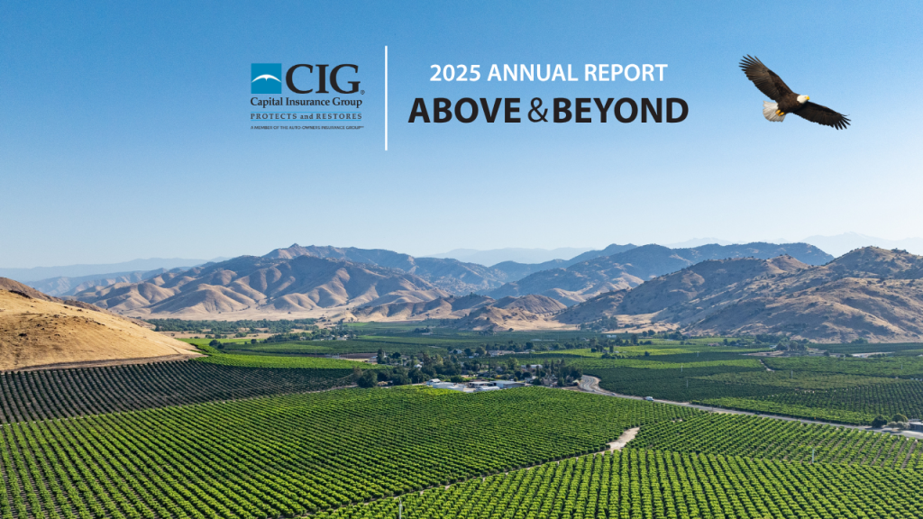 2025 Annual Report - Capital Insurance Group